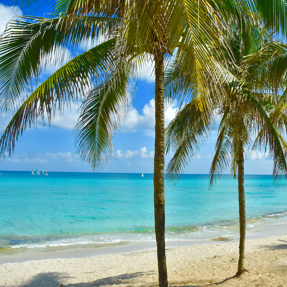 Mega Cuba - Logyc Tour